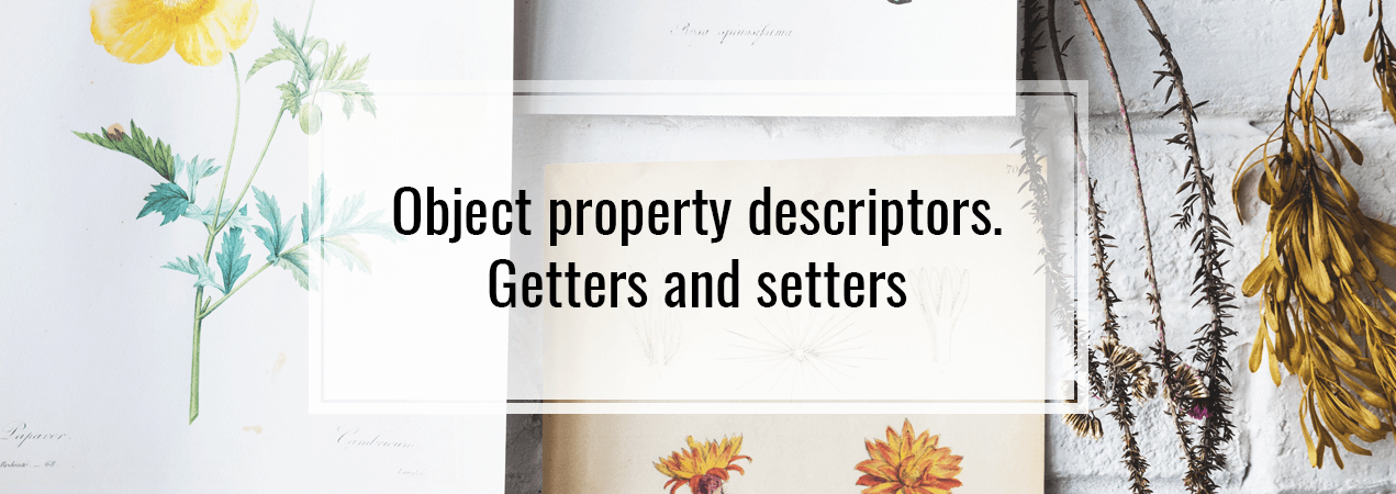 Object Property Descriptors Getters And Setters Marcin Wanago Blog